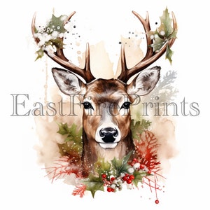 Watercolor Reindeer Clipart PNG Files, Christmas Deer Clip Art , Winter ...