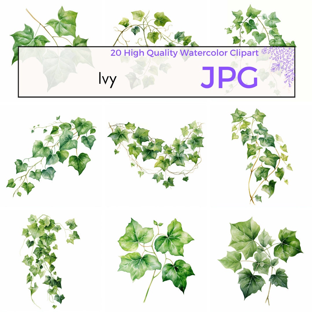 Watercolor Ivy Clipart, High Quality JPG, Poison Ivy Wall Art, Vines ...