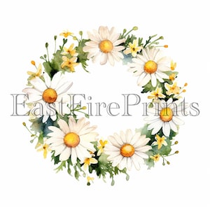 Watercolor Daisies Clipart PNG, Spring Floral Clip Art, Flowers and ...