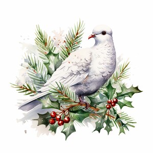 Christmas White Dove Clipart, Holiday Png, Christmas Clipart Bird Png ...