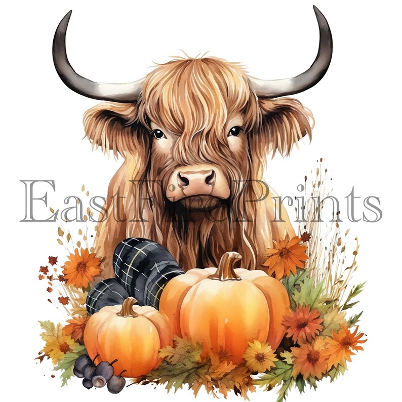 20 Autumn Highland Cow Clip Art High Quality Png Fall - Etsy