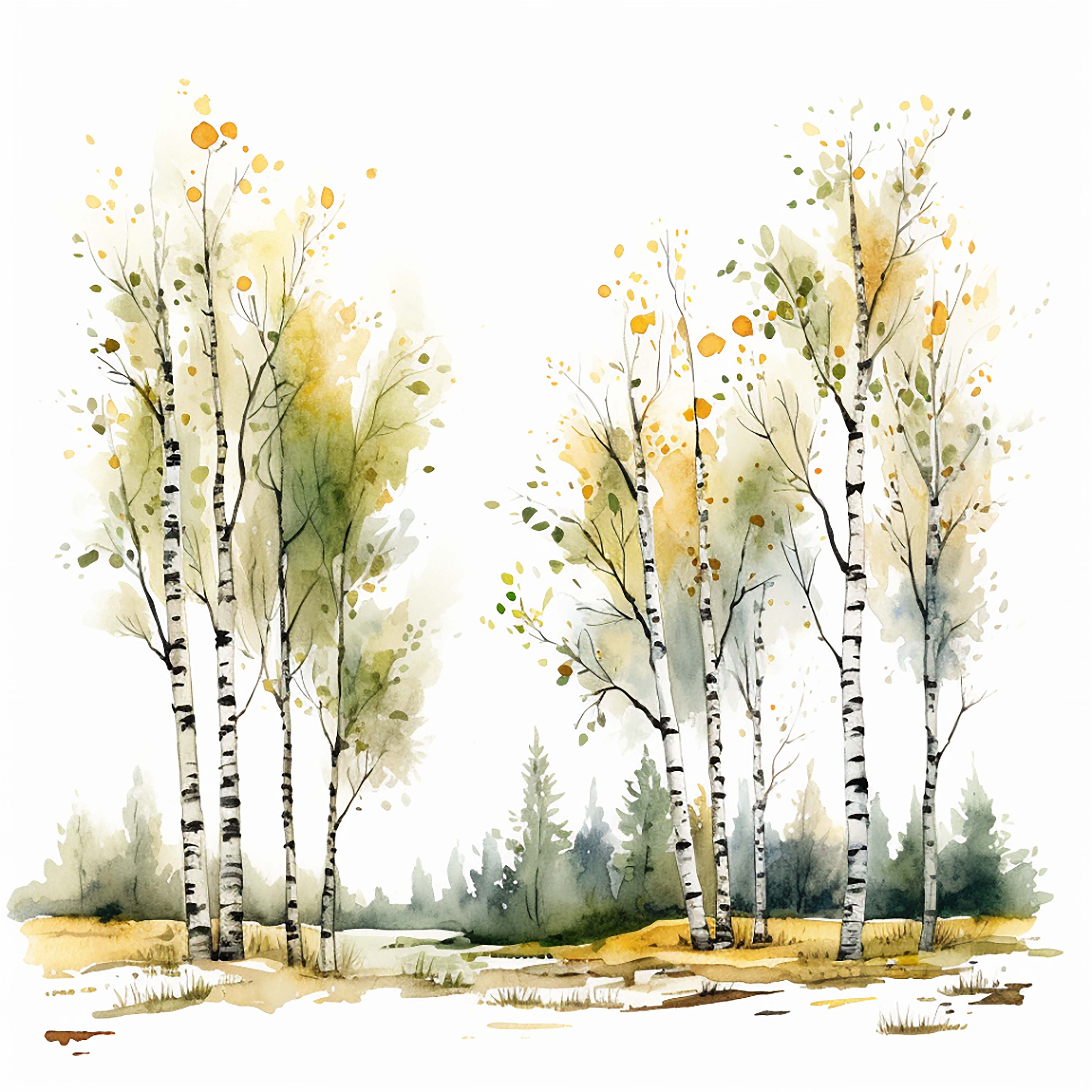 Spring Birch Trees Clipart High Quality PNG Spring Graphics - Etsy