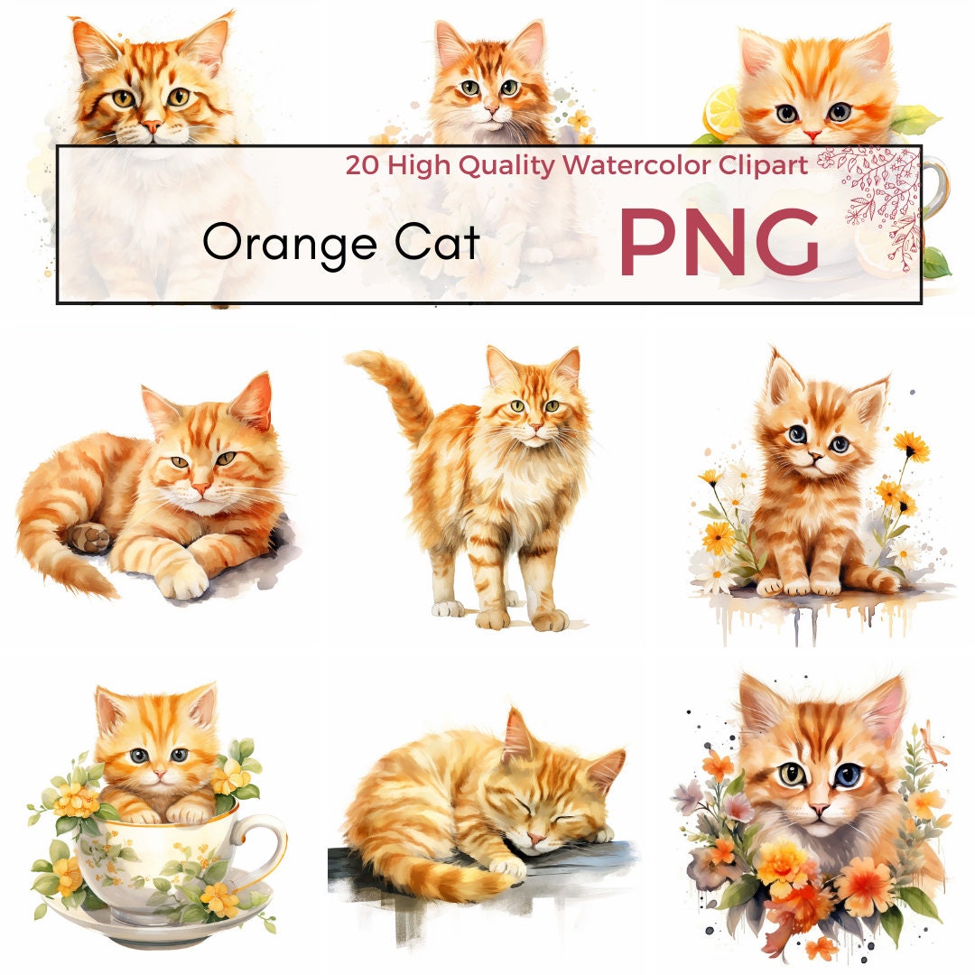 Orange Cat Clipart, High Quality PNG, Cute Kitten Clipart, Cat ...