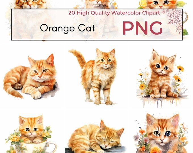 Orange Cat Clipart, High Quality PNG, Cute Kitten Clipart, Cat ...