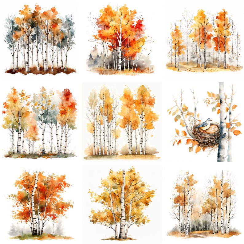 Watercolor Fall Birch Trees Clipart PNG Autumn Birch Tree - Etsy