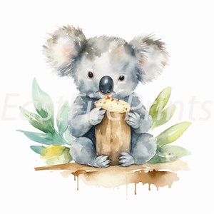 20 Watercolor Koala Bear Clipart Set - Cute Koala PNG - Koala PNG ...
