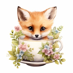 Fox in Teacup Clipart, High Quality PNG, Cute Woodland Animals PNG ...