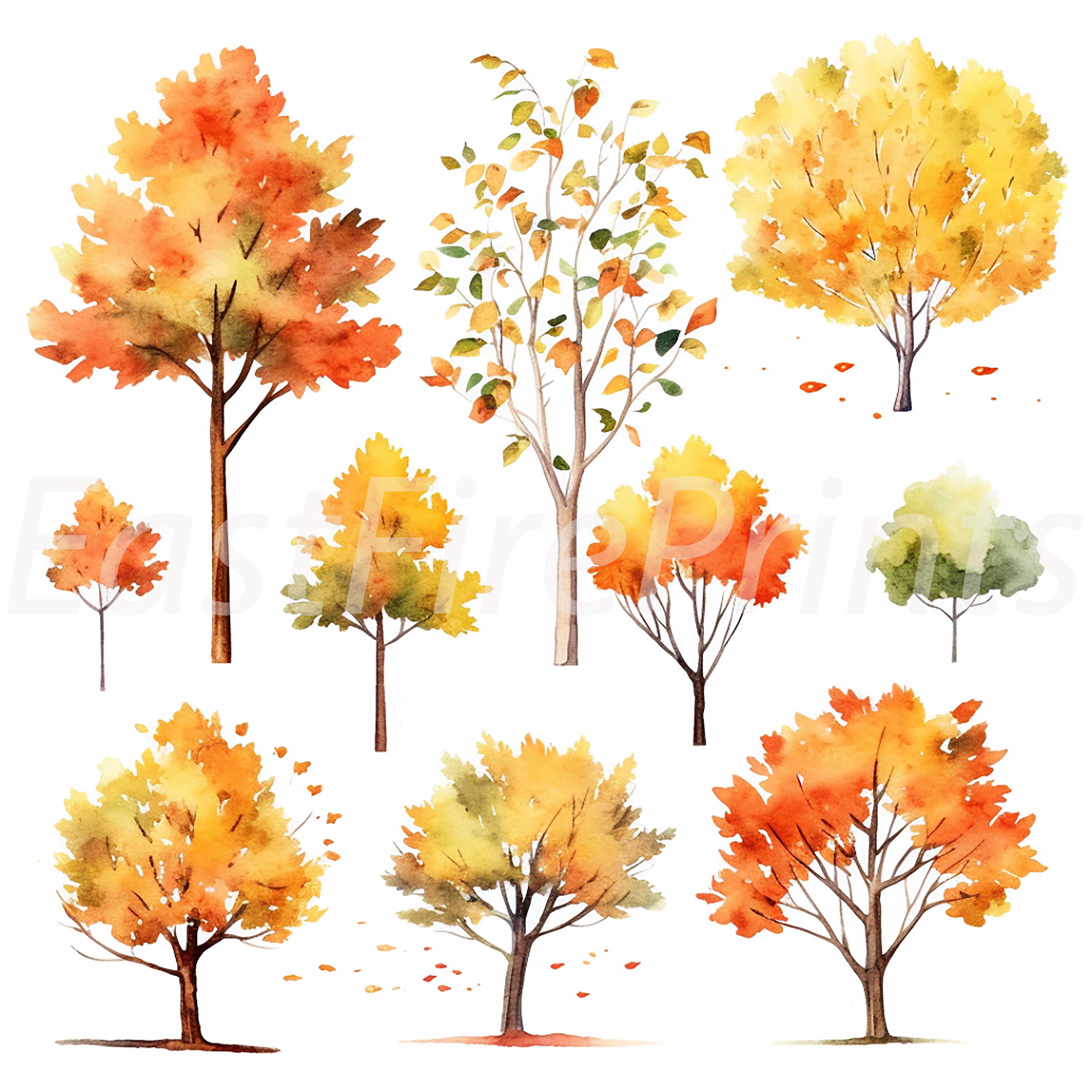 Watercolor Autumn Clipart Set Card Making 18 PNG Images - Etsy