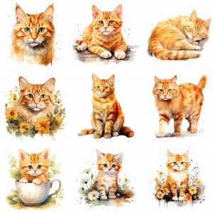 Orange Cat Clipart, High Quality PNG, Cute Kitten Clipart, Cat ...