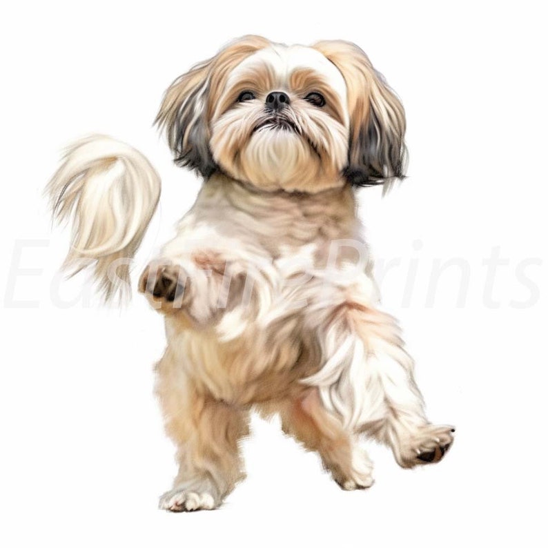 Set of 10 Shih Tzu Clipart Dog Illustrations Card Making - Etsy