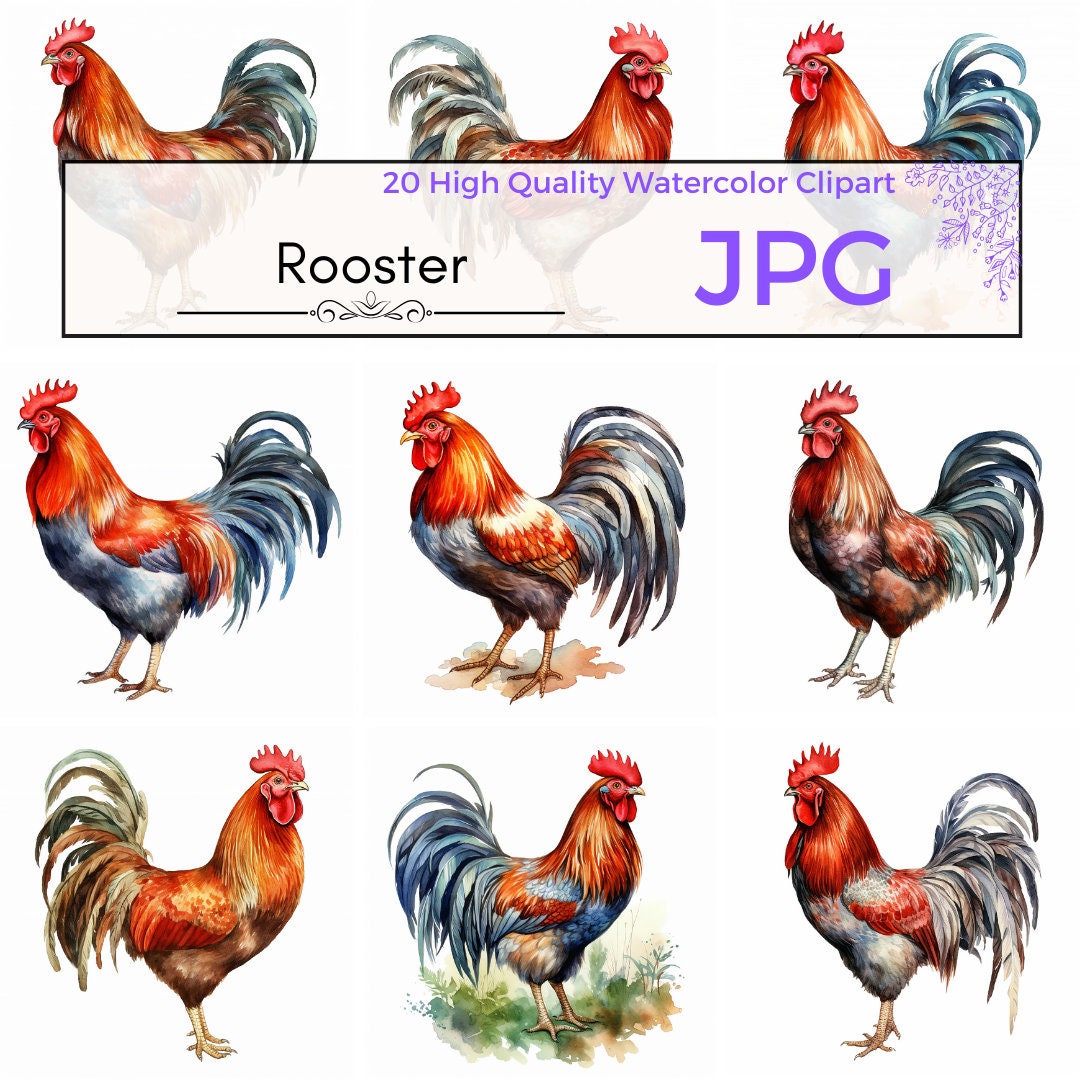 Watercolor Rooster Clipart, Farm Animal Clipart, Bird Graphics, Western ...