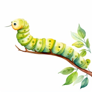 Caterpillar Clipart, High Quality PNG, Cute Insect PNG, Spring, Bug PNG ...
