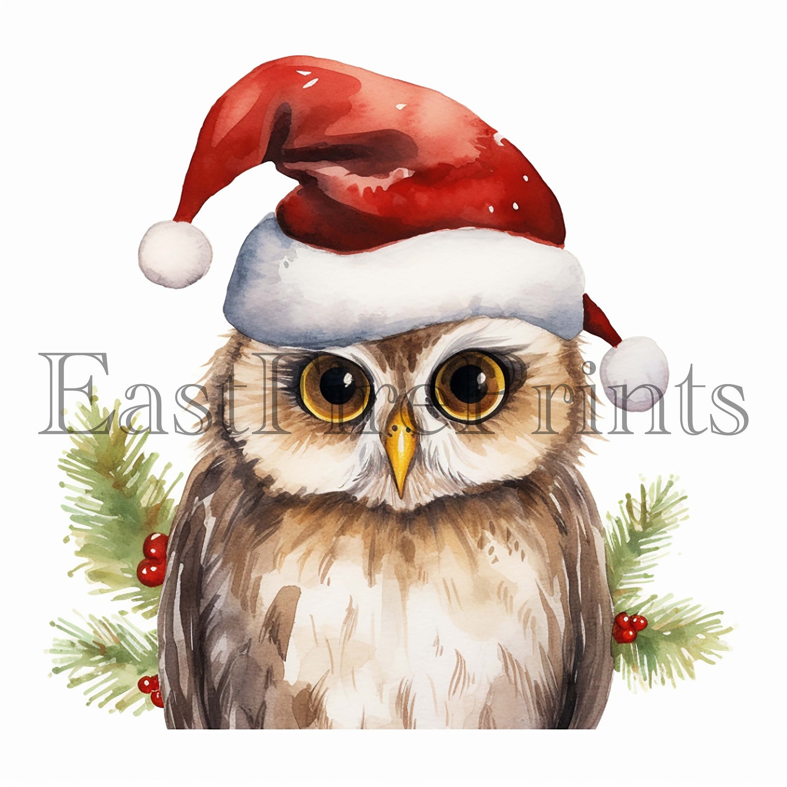Watercolor Christmas Owl Clipart High Quality Png Cute Owl - Etsy