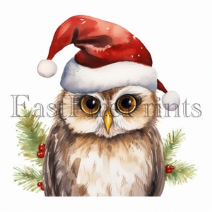 Watercolor Christmas Owl Clipart, High Quality Png, Cute Owl Xmas ...