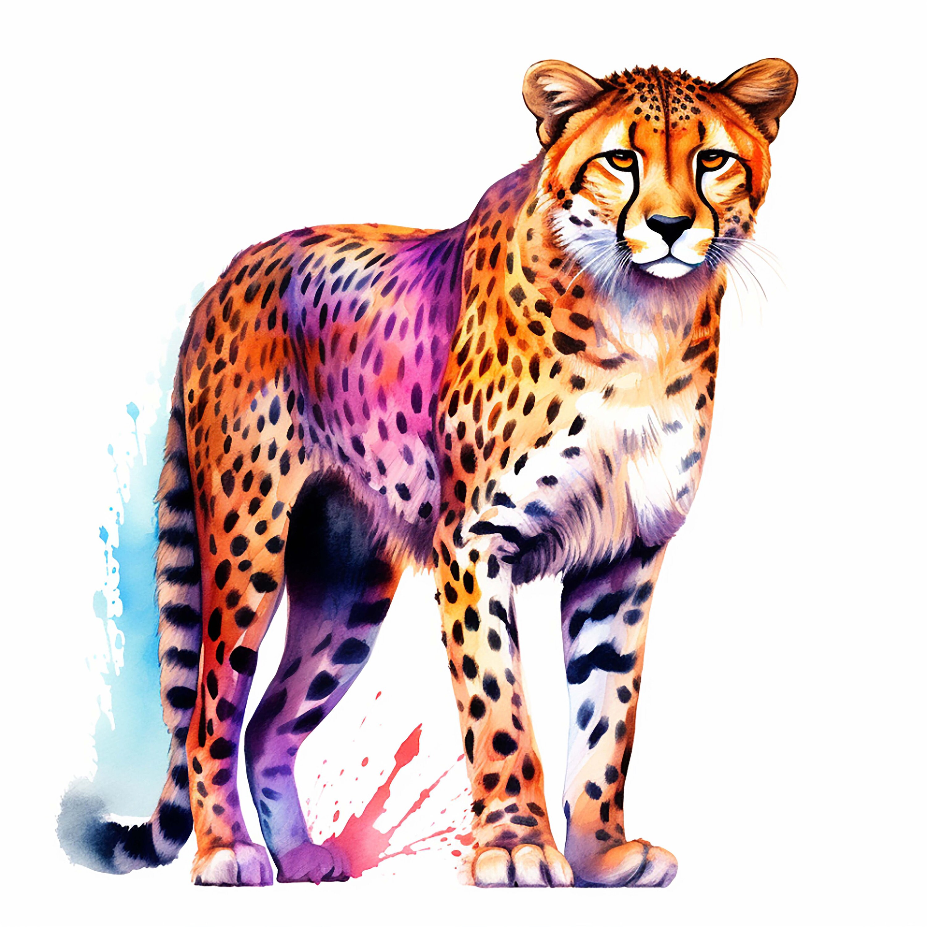 Cheetah Clipart, High Quality PNG, Safari Animals Clipart, Cheetah Art ...