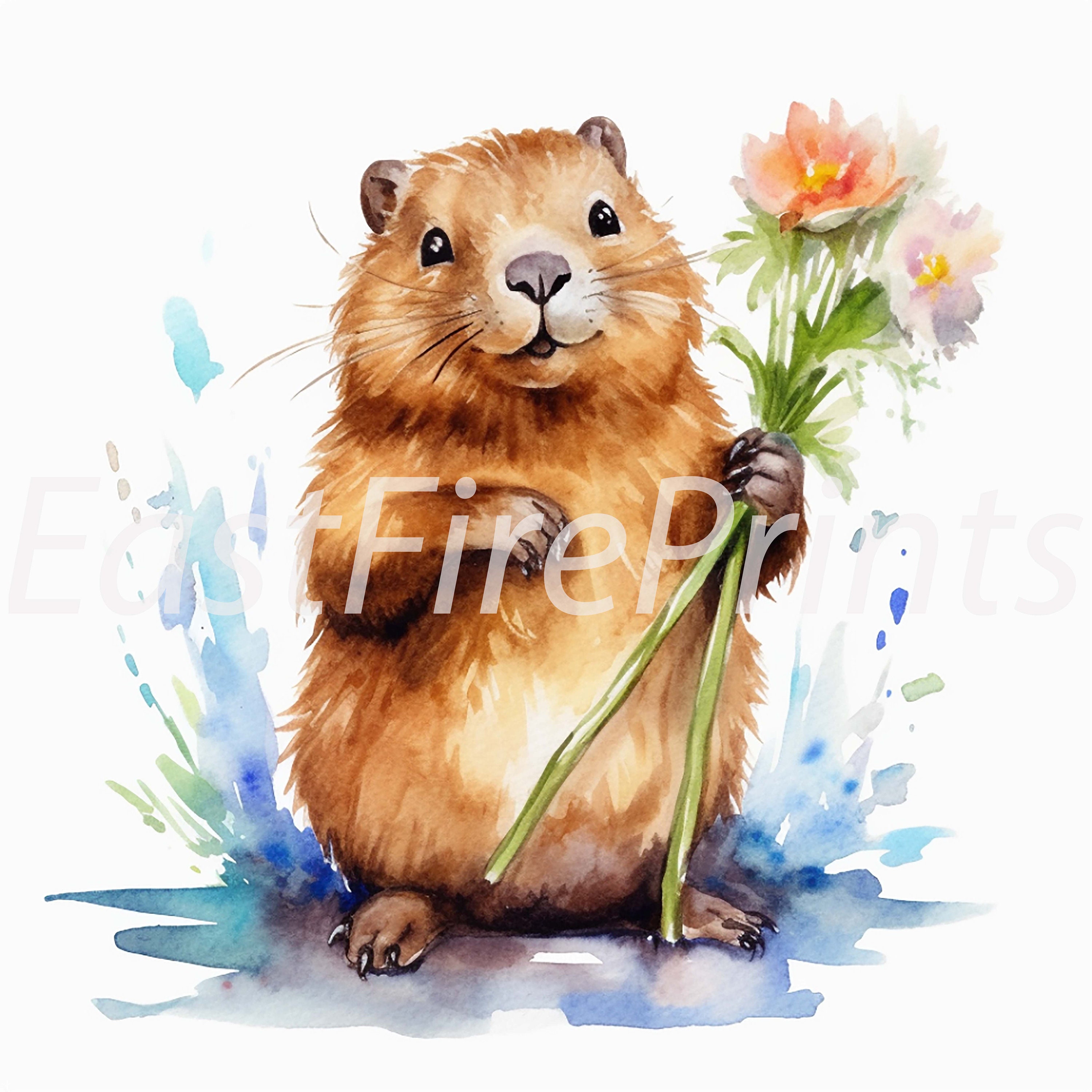 20 Watercolor Beaver Clipart Bundle Wildlife Illustrations - Etsy