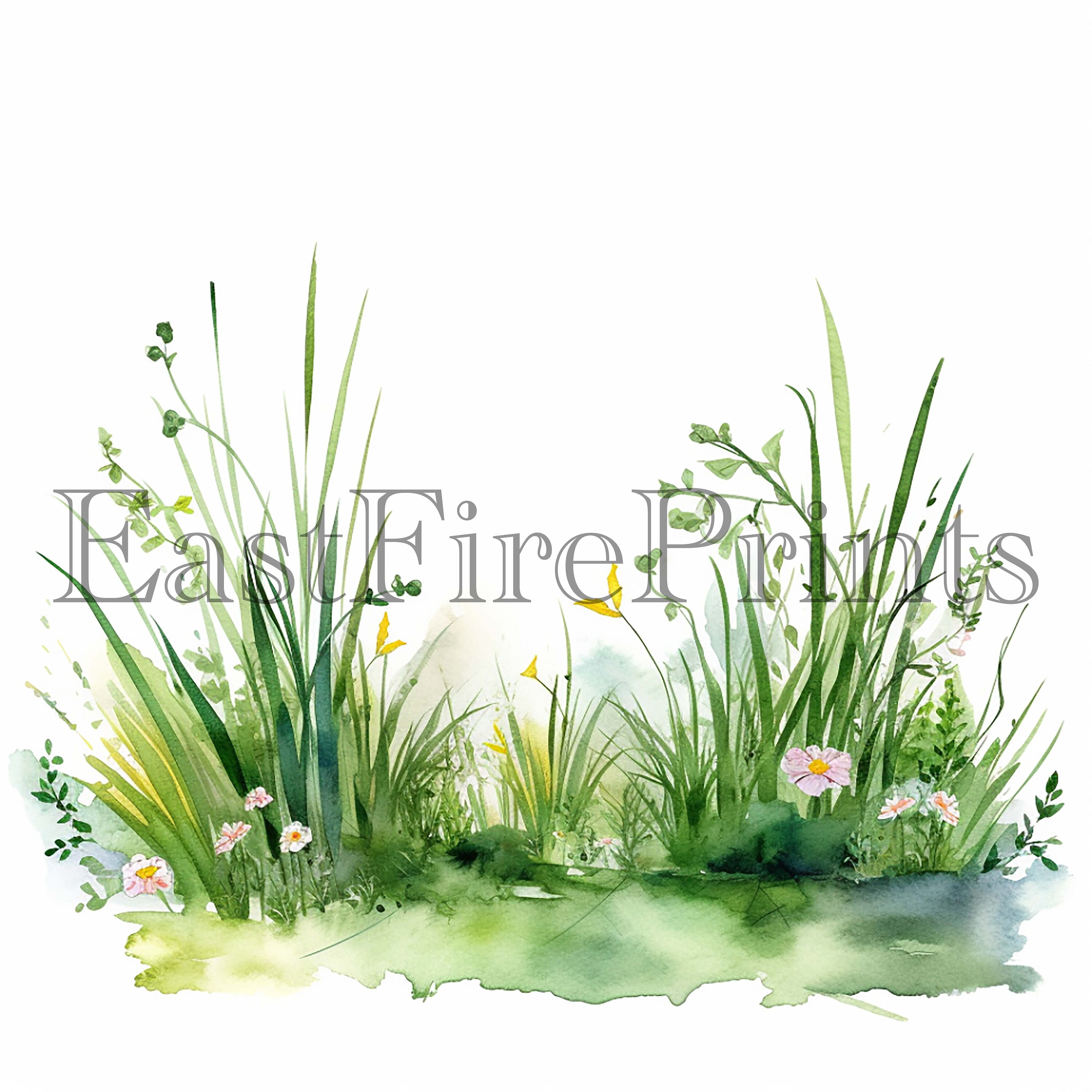 20 Watercolor Spring Grass Clipart Set Grass Illustrations Etsy