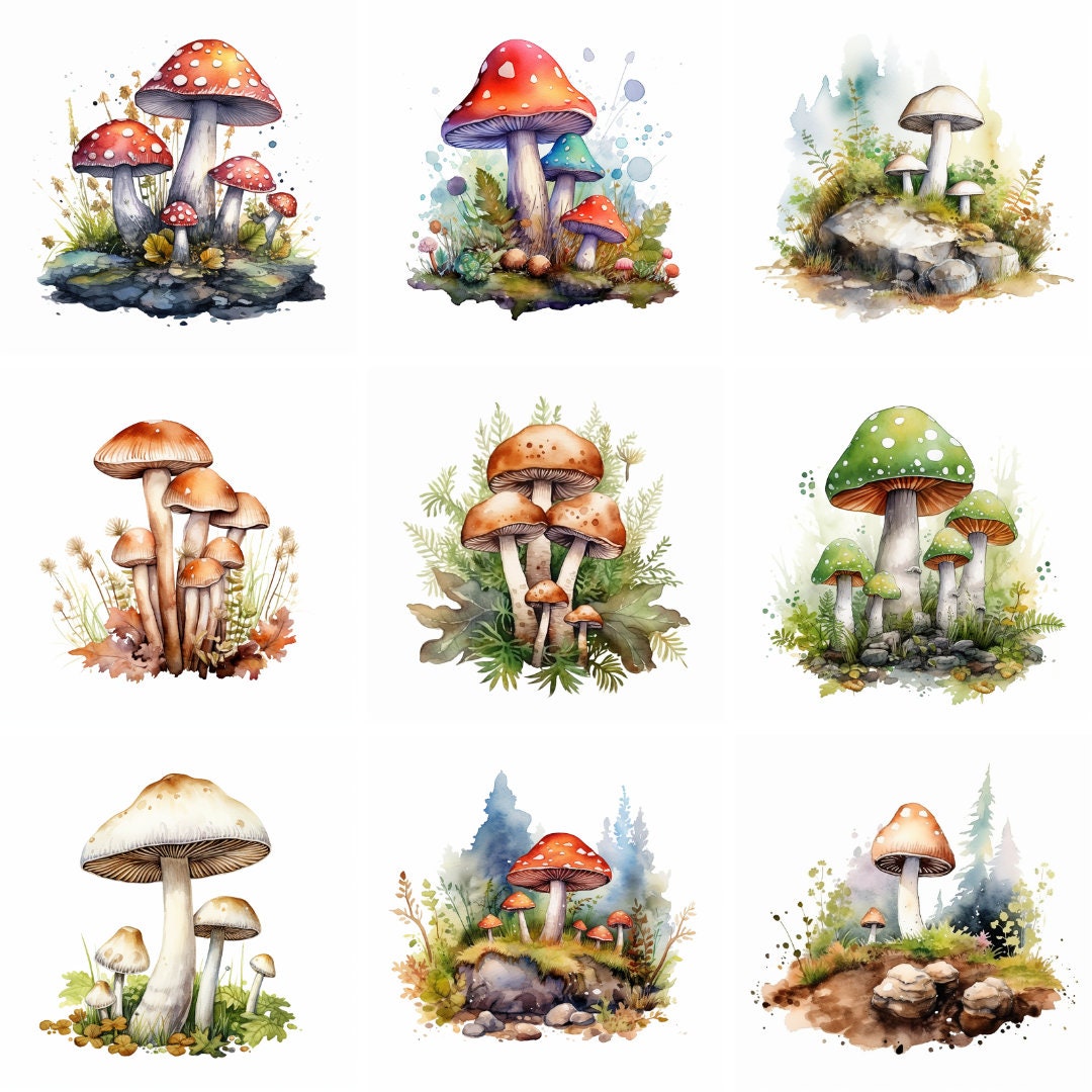 19 Watercolor Mushroom Clipart PNG Cute Forest Nature - Etsy