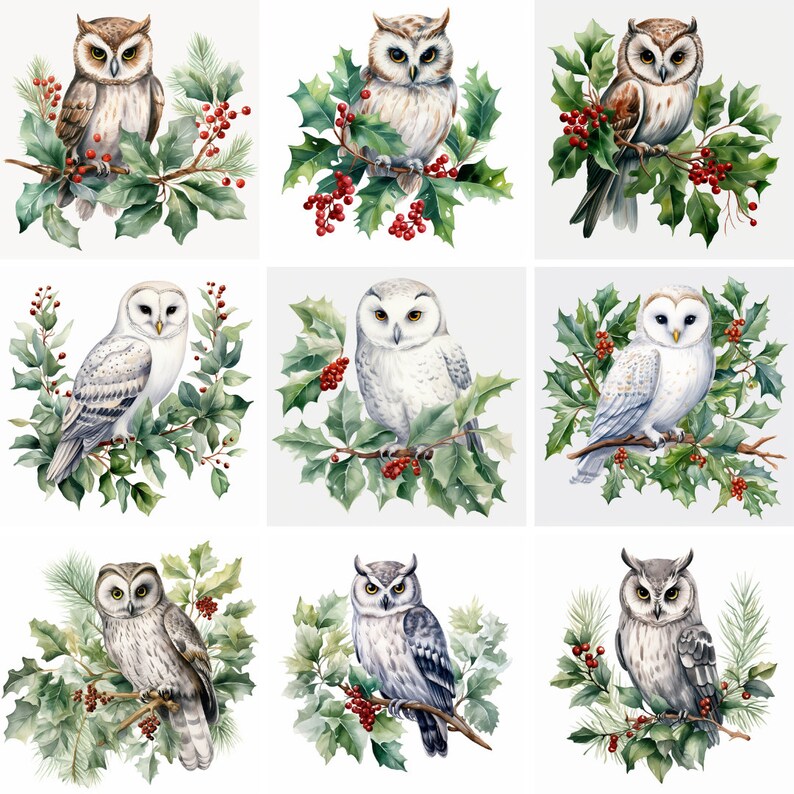 Watercolor Cute Winter Owls Clipart PNG, Christmas and Winter Clip Art ...