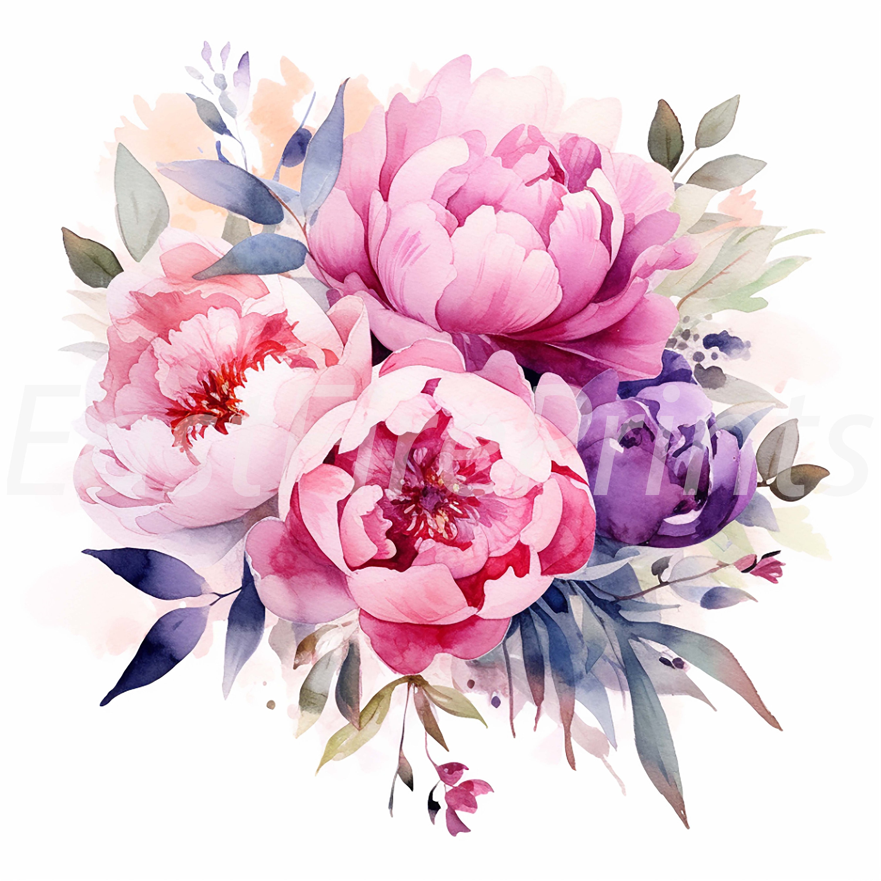 20 Watercolor Peony Bouquet Clipart Bundle Floral - Etsy