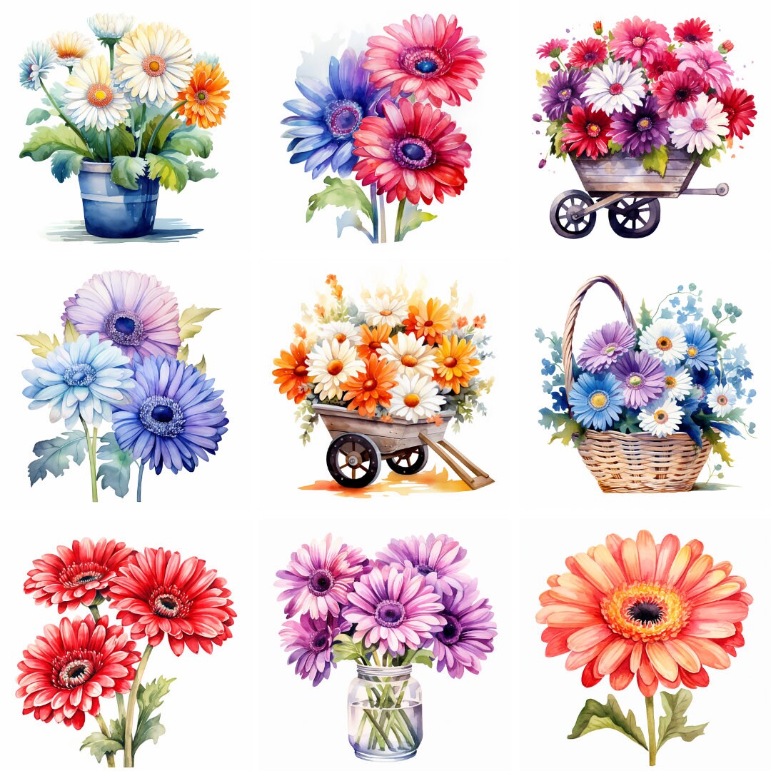 Watercolor Gerbera Clipart PNG, Floral Spring Clip Art, Flowers and ...