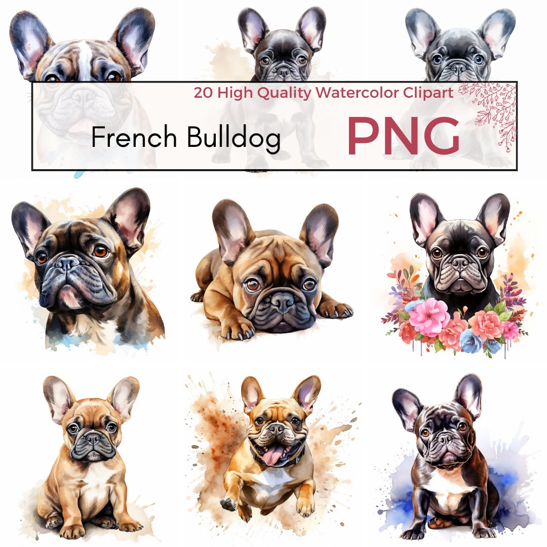 French Bulldog Clipart, High Quality PNG, Cute Frenchie PNG, Dog ...