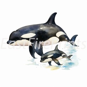 20 Watercolor Orca Clipart Set Orca Clipart PNG Cute Whale Clipart ...