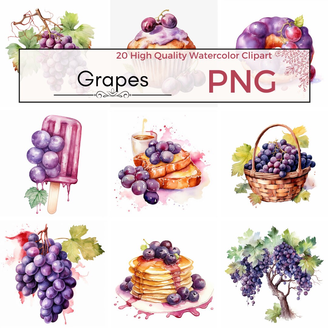 20 PNG Watercolor Grapes Clipart, Fruit Clipart, Summer, Spring, Sweets ...