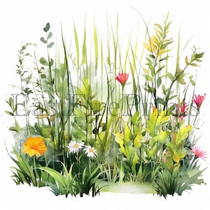 20 Watercolor Spring Grass Clipart Set Grass Illustrations Commercial ...