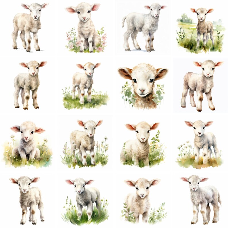 Watercolor Baby Lamb Clipart High Quality Png Cute Adorable - Etsy