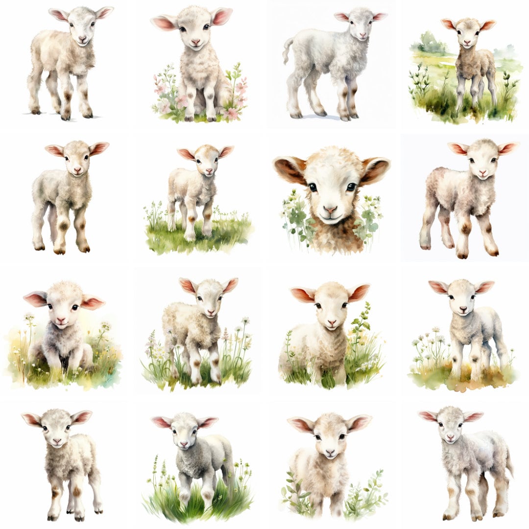 Watercolor Baby Lamb Clipart High Quality Png Cute Adorable - Etsy