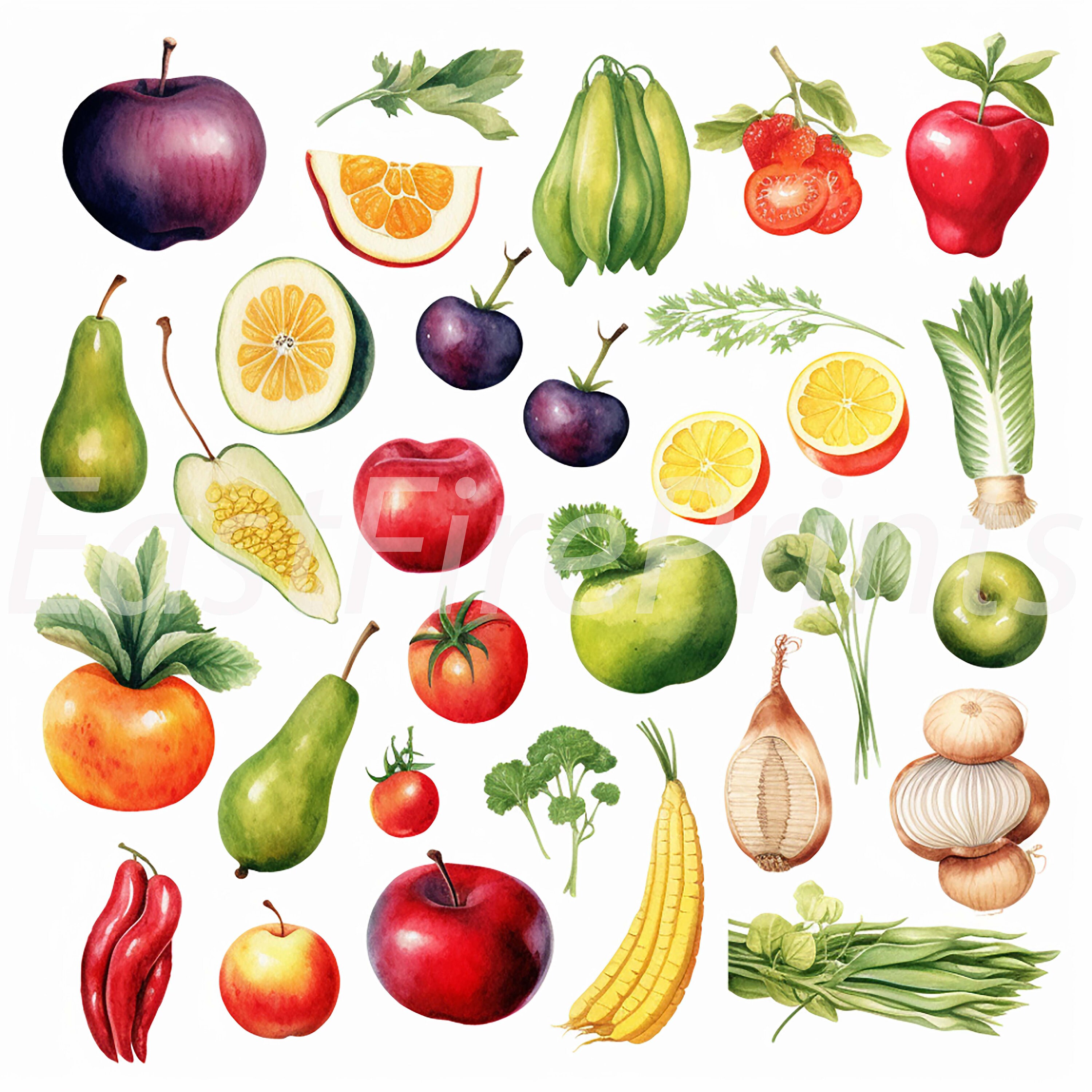 13 Watercolor Fruit and Vegetable Clipart Set Digital - Etsy