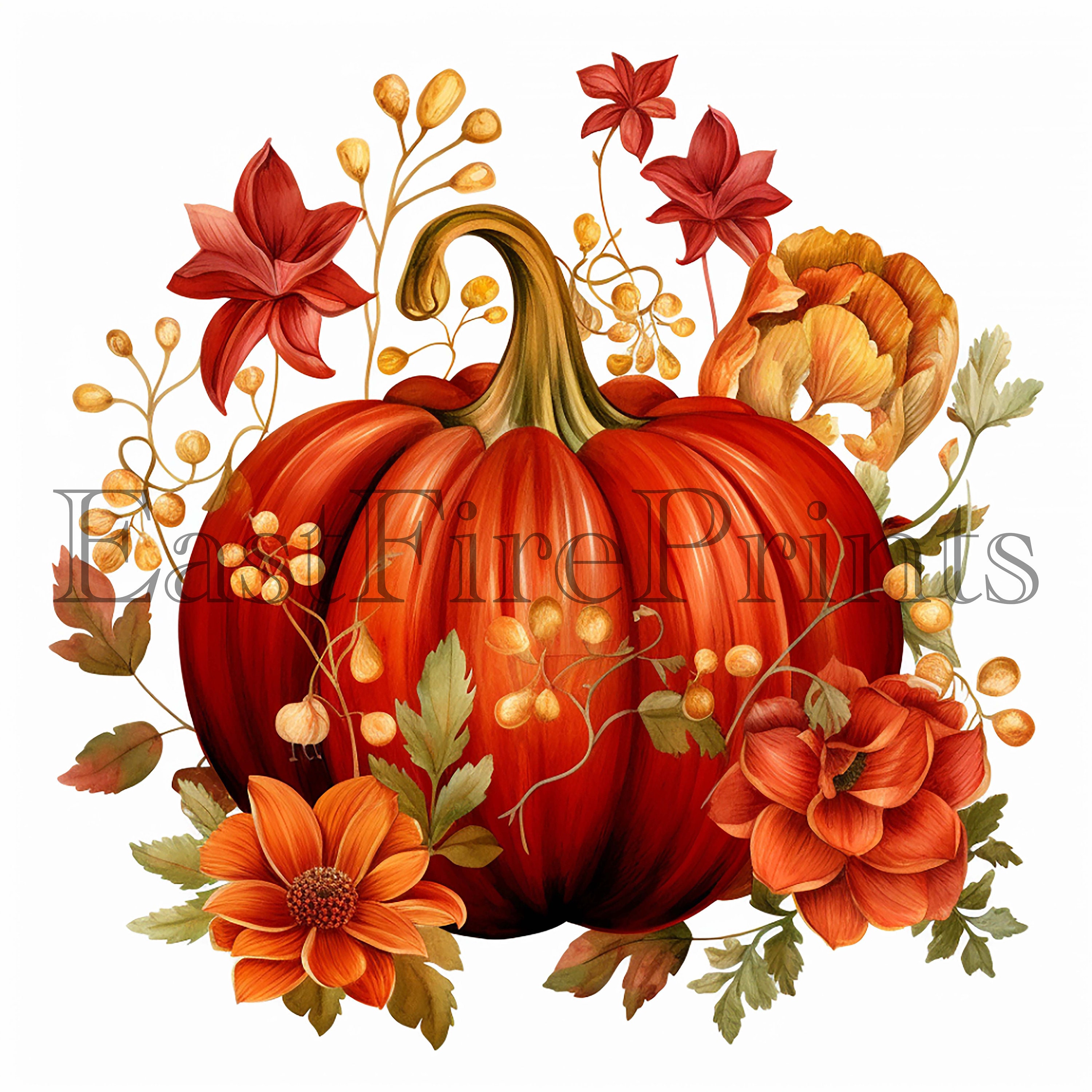 20 Red Pumpkin Watercolor Clipart High Quality Png - Etsy