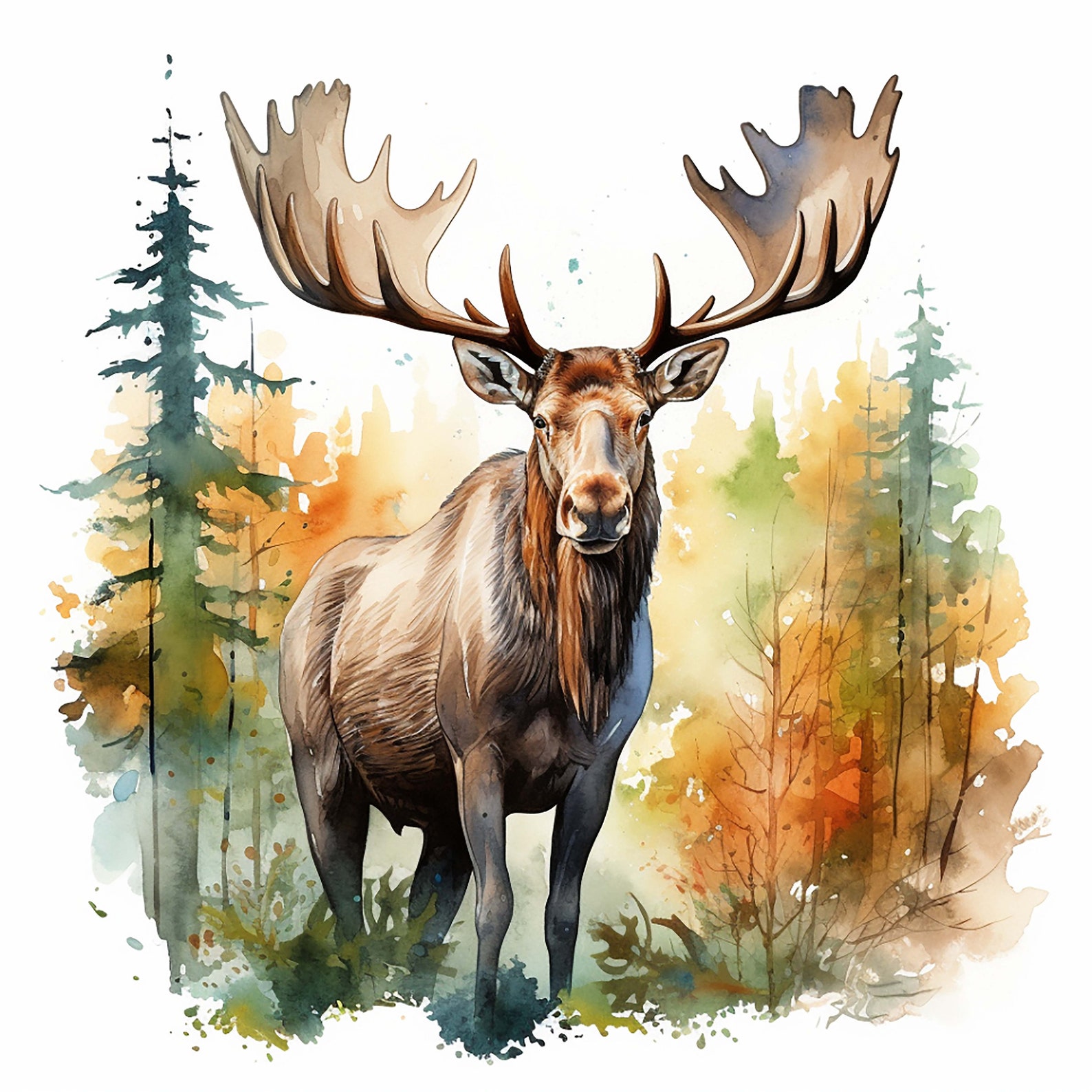Watercolor Moose Clipart, High Quality PNG, Woodland Animals Clipart ...