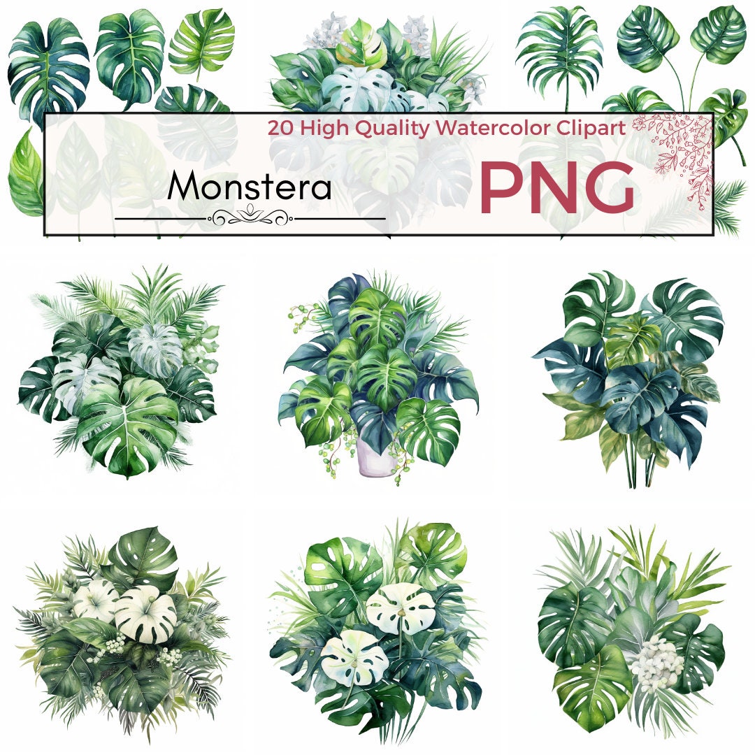20 Watercolor Monstera Clipart Set - Tropical Leaf PNG - Digital ...