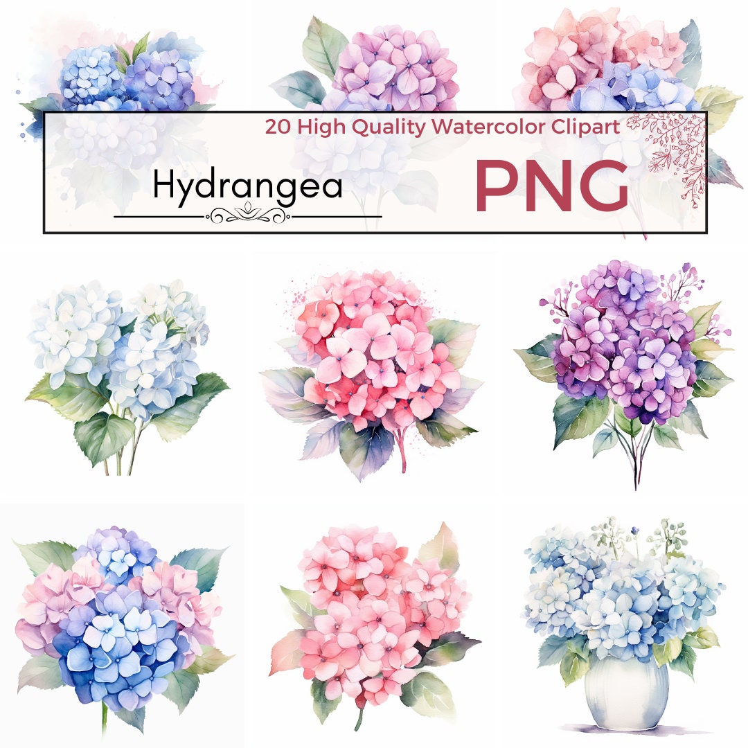 20 Watercolor Hydrangea Bouquet Clipart Bundle | Hand-painted Floral ...