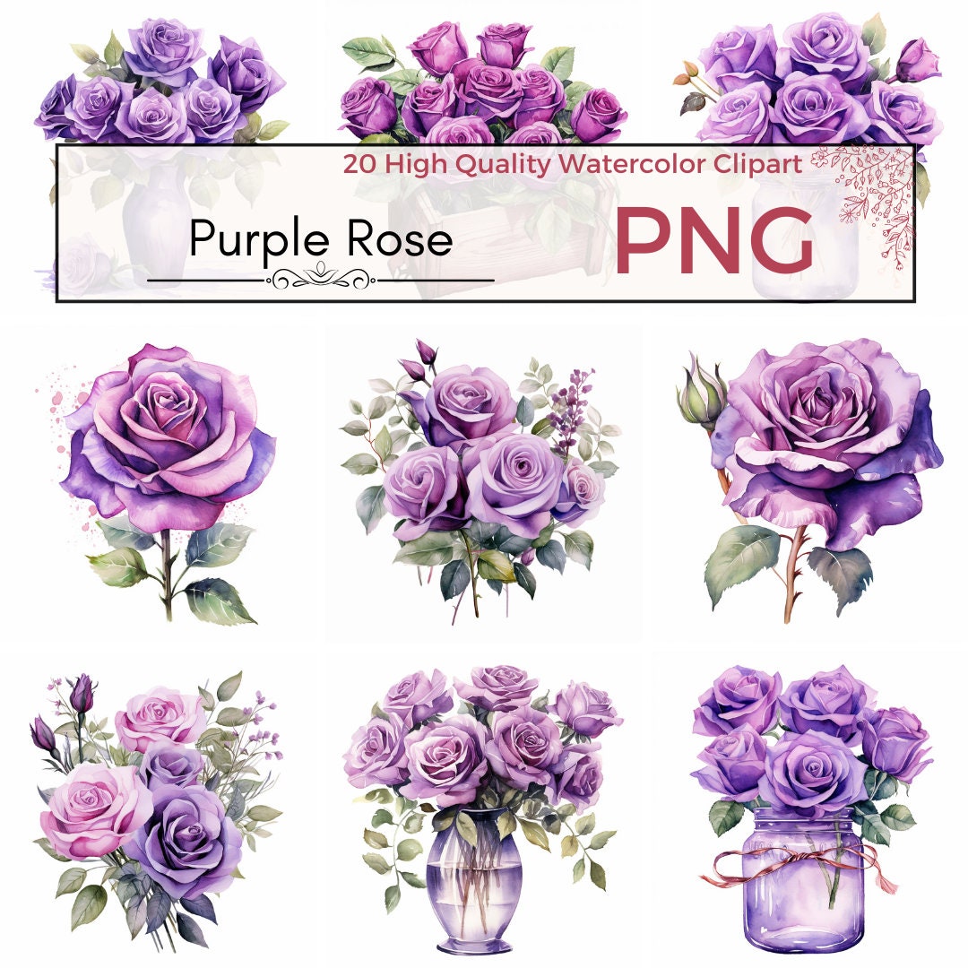 Purple Rose Clipart High Quality Png Floral Clipart Rose - Etsy