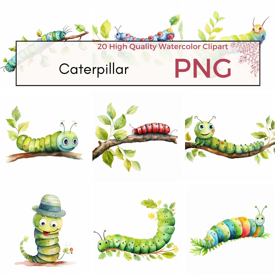 Caterpillar Clipart, High Quality PNG, Cute Insect PNG, Spring, Bug PNG ...