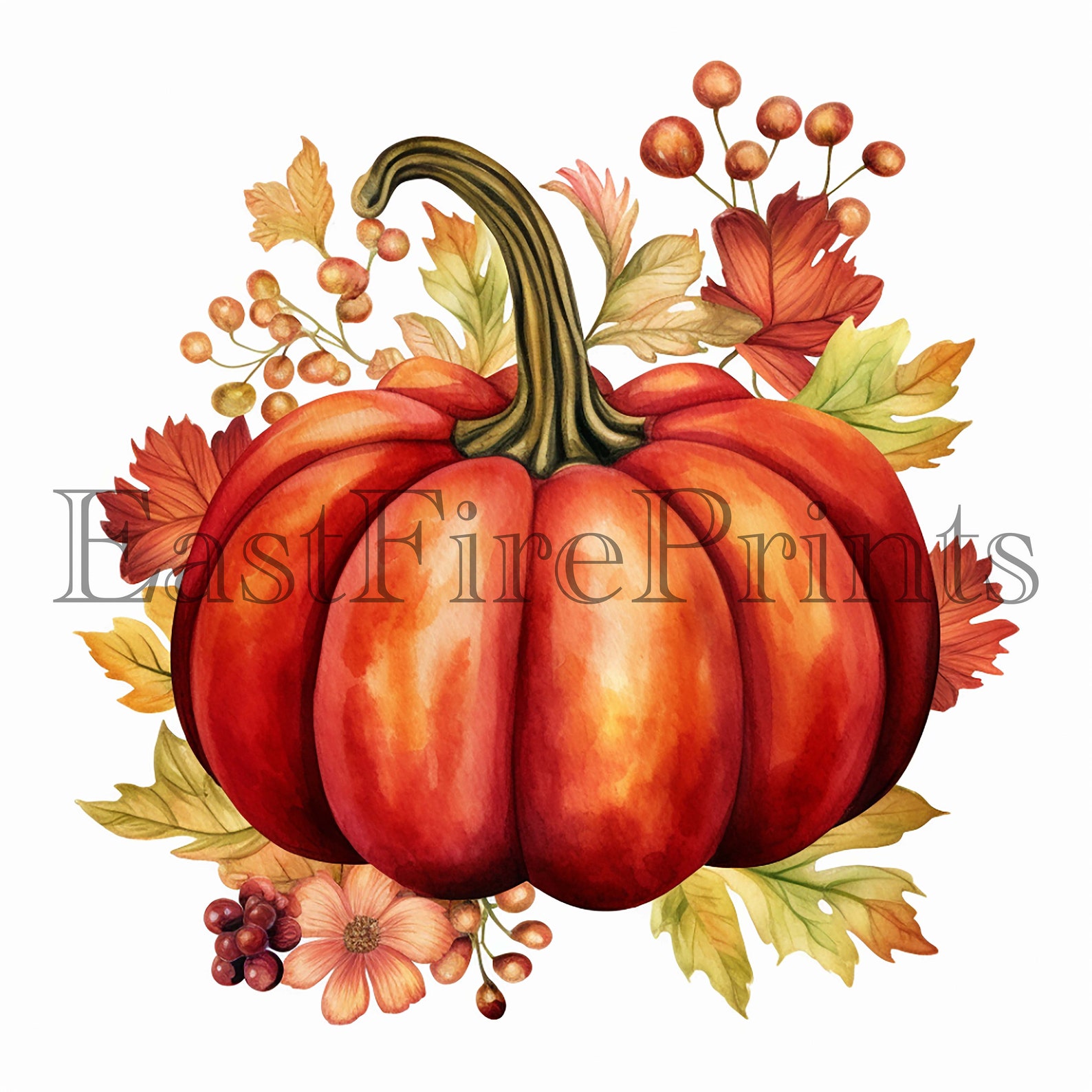 Watercolor Red Pumpkin Clipart High Quality Png Floral - Etsy