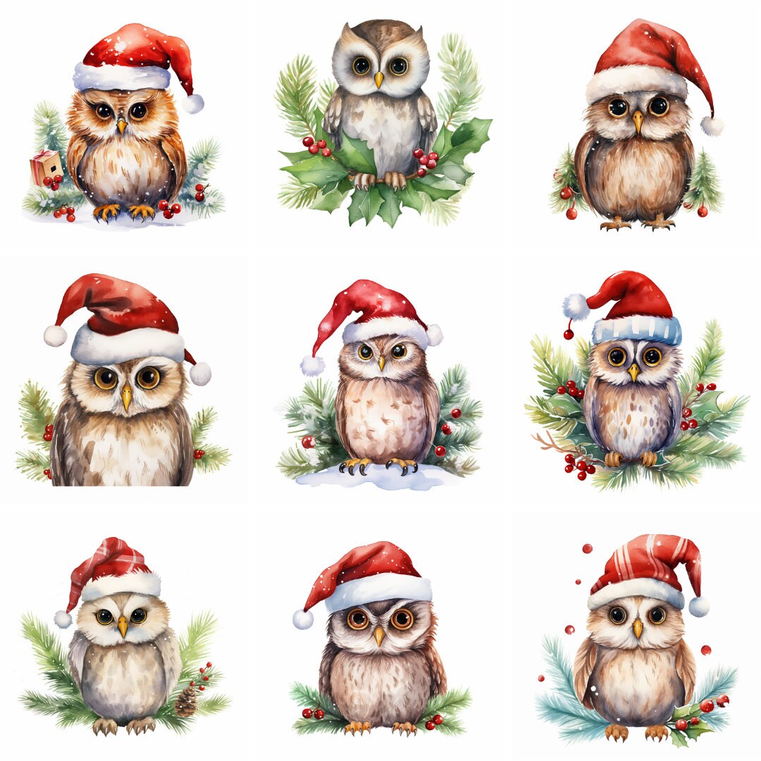 Watercolor Christmas Owl Clipart High Quality Png Cute Owl - Etsy