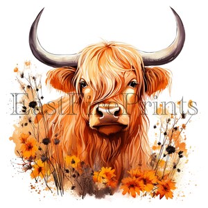Watercolor Fall Highland Cow Clipart, High Quality Png, Floral Autumn ...
