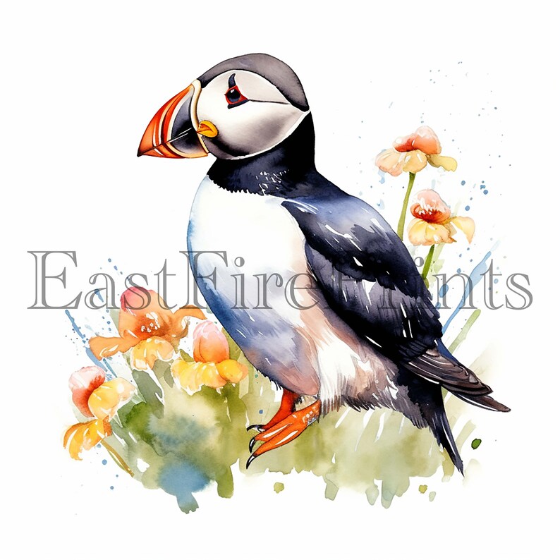 20 Puffin Watercolor Clip Art High Quality Png Cute Bird - Etsy