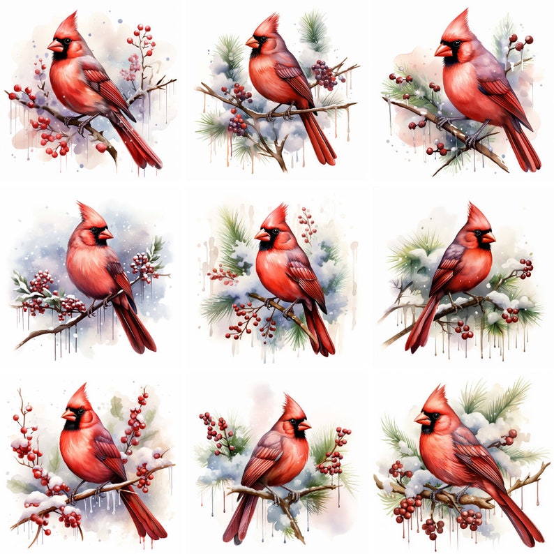Christmas Red Cardinal Clipart High Quality PNG Digital - Etsy