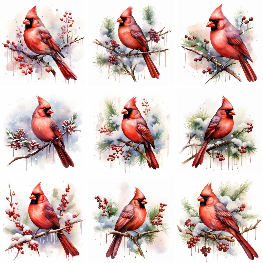 Christmas Red Cardinal Clipart High Quality PNG Digital - Etsy