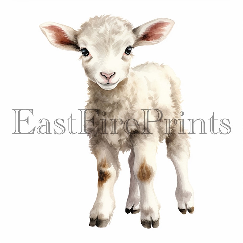 20 Baby Lamb Watercolor Clipart High Quality Png Cute Farm - Etsy