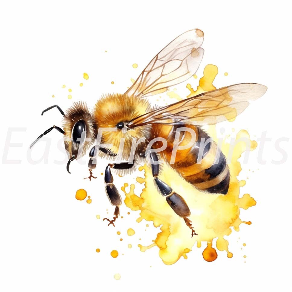 20 Watercolor Honeybee Clipart Bundle Bee Illustrations - Etsy