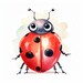 Ladybug Clipart, High Quality PNG, Insect Art, Lady Bug Graphics, Bug ...