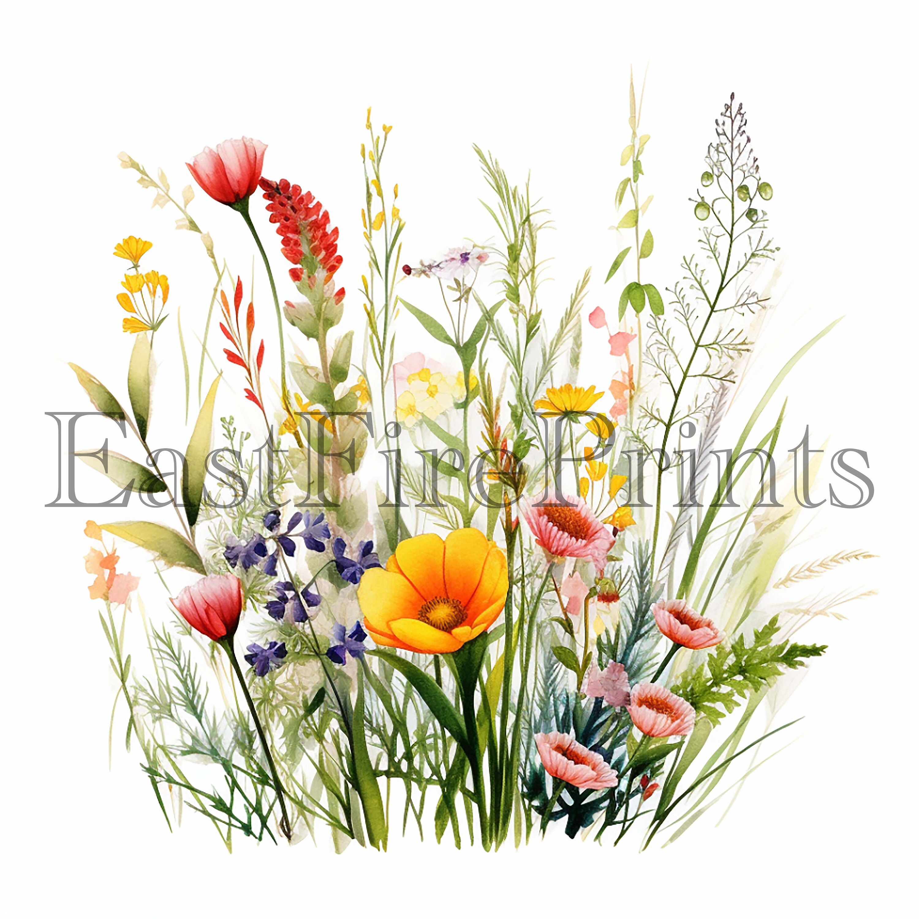 Watercolor Wildflowers Clipart High Quality Png Floral - Etsy