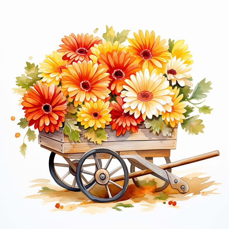 Watercolor Gerbera Clipart PNG Floral Spring Clip Art - Etsy