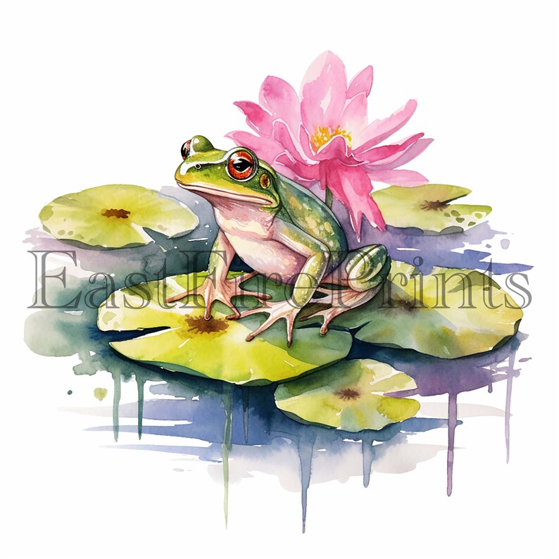 20 Watercolor Green Frog Clipart PNG Cute Frog Floral Lily - Etsy